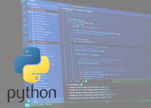 Web Development and Design IT Training Philippines